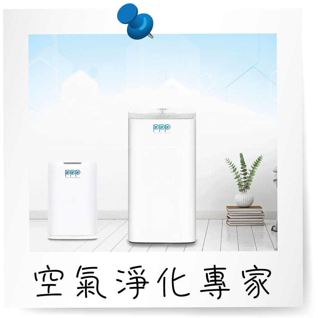 PPP Perfect Particulates Purification Air Purifier | One One Mall ...